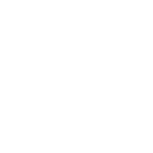 Phoenix Consultancy | mission software development